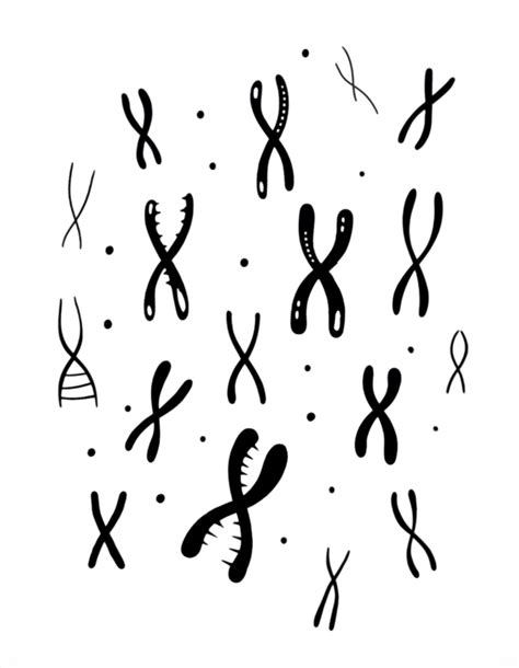 Genetic Variation And Inheritance Mendelian Genetics And Genetic Diversity