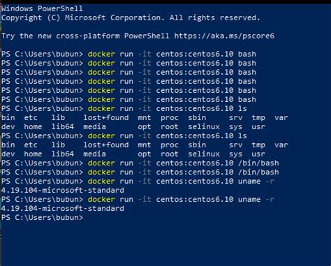 Official Centos610 Interactive Terminal Not Working Wsl2 · Issue 9362