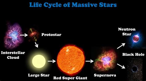 Average Star Life Cycle