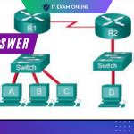 CCNA V ITN V ITNv Final Exam Answers Introduction To Networks IT Exams
