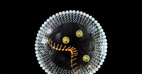 Chemistry World On Linkedin Self Assembling Rna Strands ‘tamed The