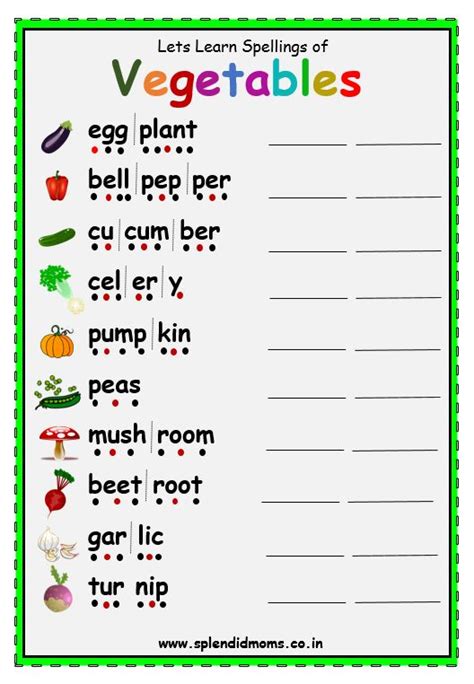 야채 영어로 쓰기 브로콜리 당근 옥수수 버섯 쓰기 단어 쓰기 영어