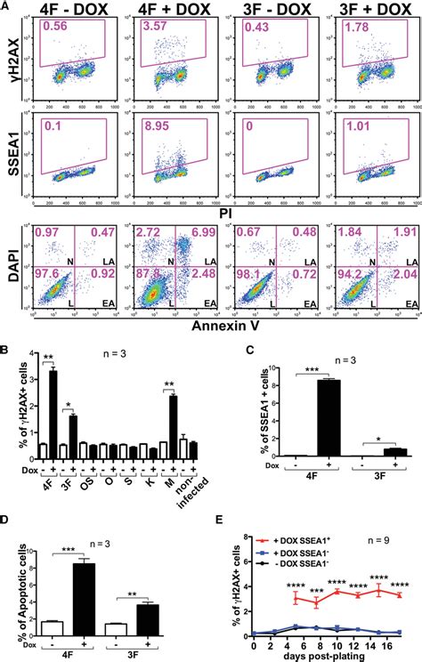 Figure 1 From Homologous Recombination Dna Repair Genes Play A Critical