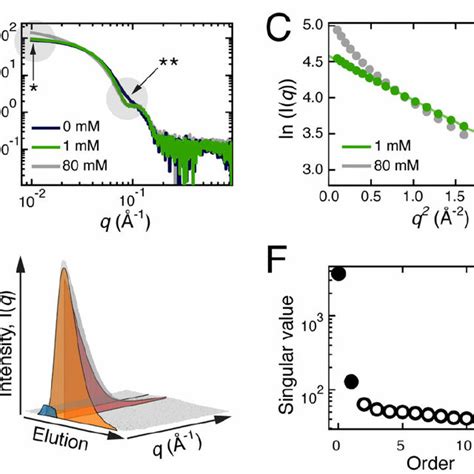 Saxs Overview A Saxs Experimental Set Up B G Saxs Analysis Example