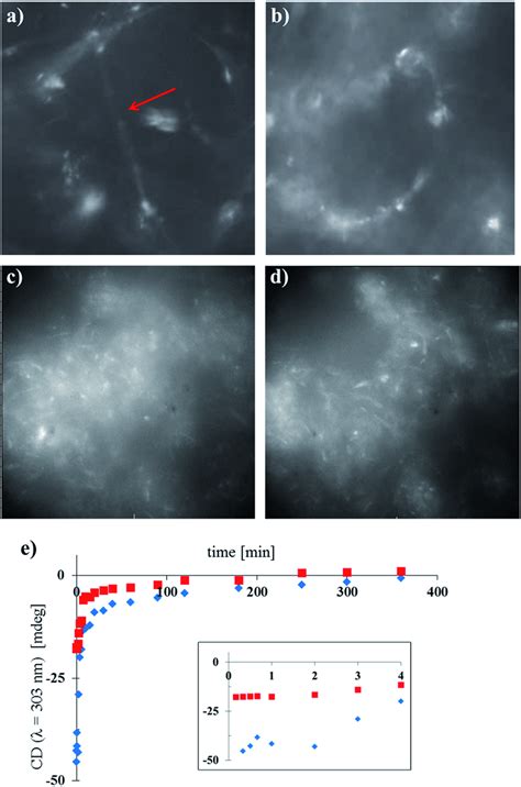 Design And Structure Of Amphiphiles 1 Achiral And 2 Chiral