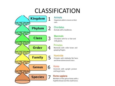 Exploring And Classifying Life Chapt 1 Ppt Download