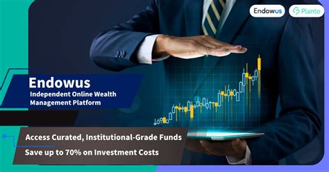 Endowus Review Access Institutional Grade Funds At Zero Commission