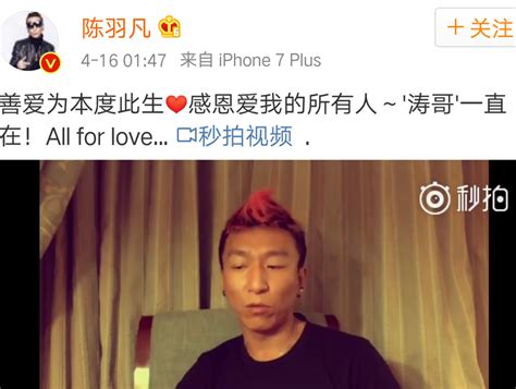 陈羽凡回应“白百何出轨事件” 两人2015年已离婚