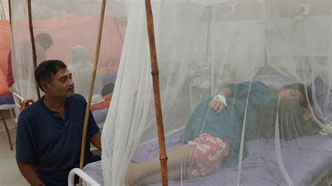 Delhi Dengue Cases Cross 3000 For Year Worst Since 2015 Latest News
