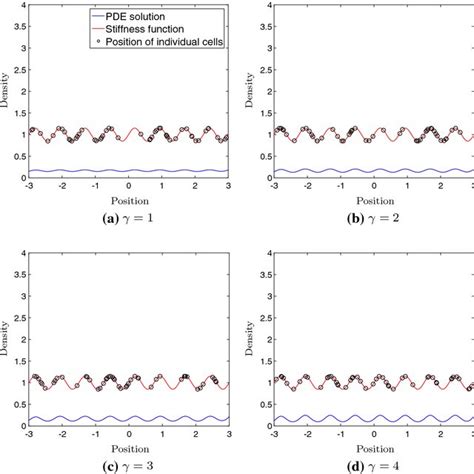 stochastic simulation of 50 cells and the solution to the pde model
