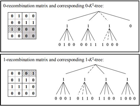 the recombination matrices and k 2 trees for querying neighbors of