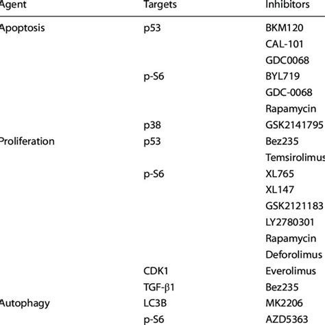 Current Inhibitors Targeting Akt Signaling In Cancer Download