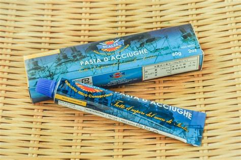 アンチョビ ペースト 調味料 60g×2本 フォルメック 熟成 チューブ式 業務用 ソース 常温 イタリア産 ガイア 料理 アレンジ メール便