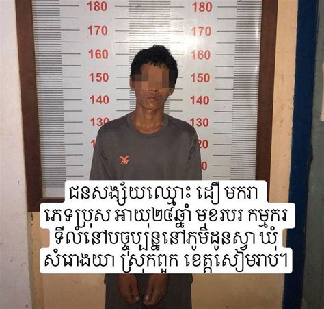 ទីបំផុត ចាប់ខ្លួន បាន ហើយជន ដៃដល់ ចូល វា យ ប្ល ន់ ស្ត្រី វ័យ ចំណាស់ ដល់ ក្នុងផ្ទះ នៅស្រុក ពួក