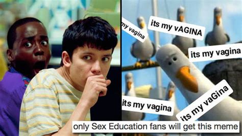35 Sex Education Memes Inspired By The Netflix Series Capital