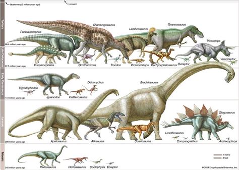 Dinosaurs Roamed The Earth For Nearly 180 Million Years But No Single Species Survived For That
