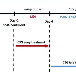 Schematic Representation Of The Two Different C G M Exposure
