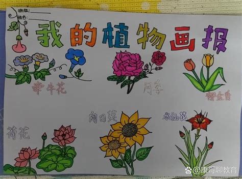 植物园手抄报怎么画用照片（热门14张）手抄报图片大全