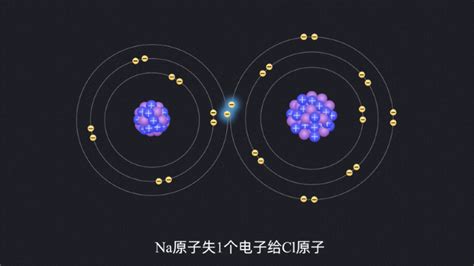 火花学院科学可视化教学内容与工具库