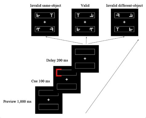Stimuli And Sequence Of Events For Object Based Attention Experiment Download Scientific Diagram