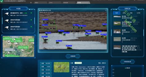 人工智能AI鸟类监测识别系统 中华网