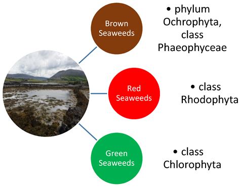 Marine Drugs Free Full Text Looking Beyond The Terrestrial The