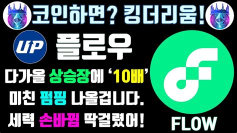 플로우 코인 물려있다면 필수 시청 10배 갑니다 Youtube