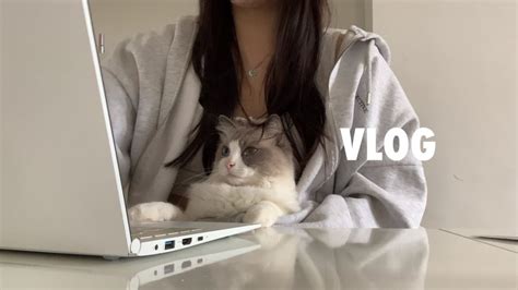 🇬🇧영국 수의대생 Vlog 요리하고 공부하고 무한반복 ♾ 런던 마라샹궈 맛집 에그인헬 Youtube