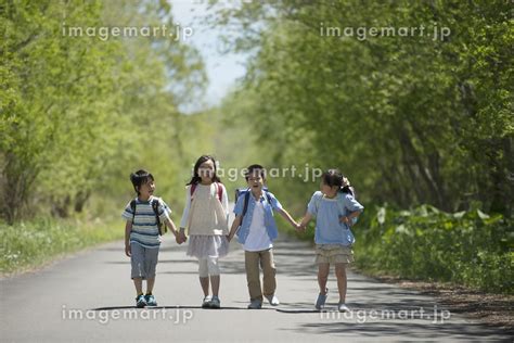 一本道で手をつなぐ小学生の写真素材 124672681 イメージマート