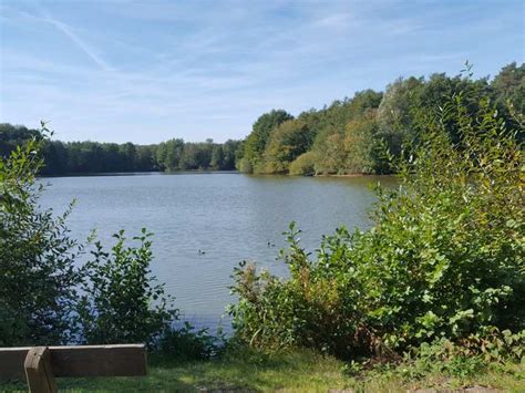 Saller See - Cycle Routes and Map | Komoot
