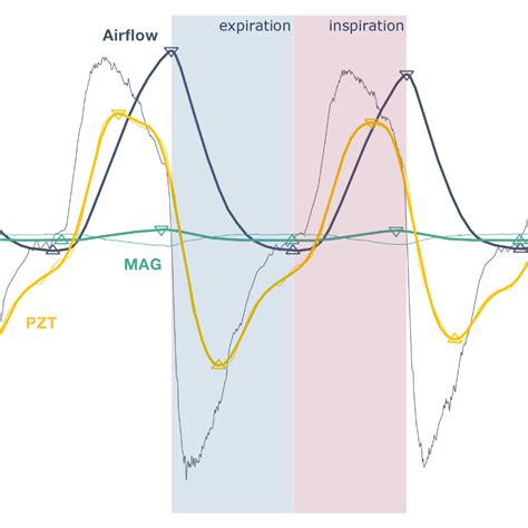 Wearable Respiratory Data During Pulmonary Rehabilitation Exercises Magnetic Field Based And
