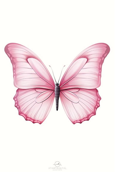 Imágenes De Mariposas Rosas Mariposas Rosas Con Borde Dorado