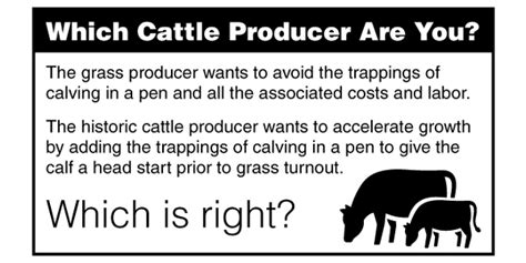 Grass Calving Morning Ag Clips
