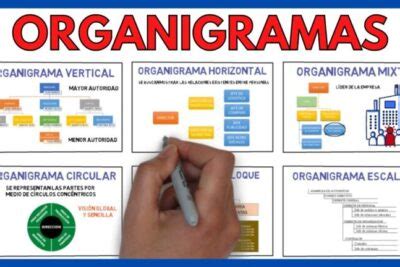 Guía para crear un organigrama en inglés 2025