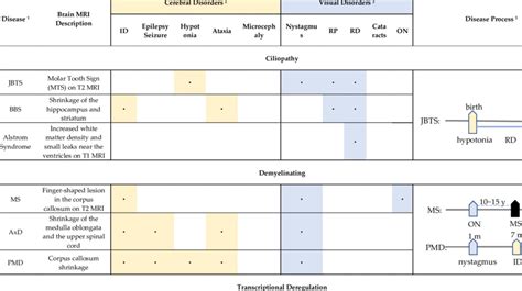 Brain Eye Parallelism In Cerebral Visual Impairments Download