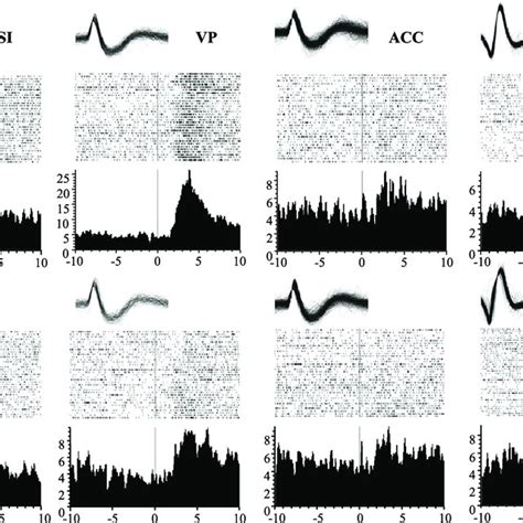 Raster And Perievent Histograms Showing The Typical Nociceptive