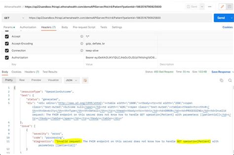 Error The FHIR Endpoint On This Server Does Not Know How To Handle