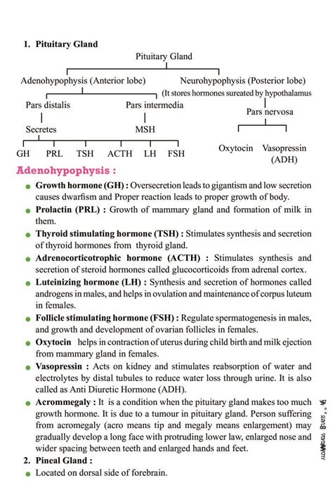 Chemical Coordination And Integration Class 11 Notes Pdf रासायनिक समन्वय तथा एकीकरण के नोट्स
