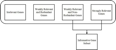 Frontiers Machine Learning Based Computational Gene Selection Models A Survey Performance