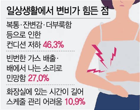 변비 직빵 해결 방법 및 변비 원인 증상 변비약 추천