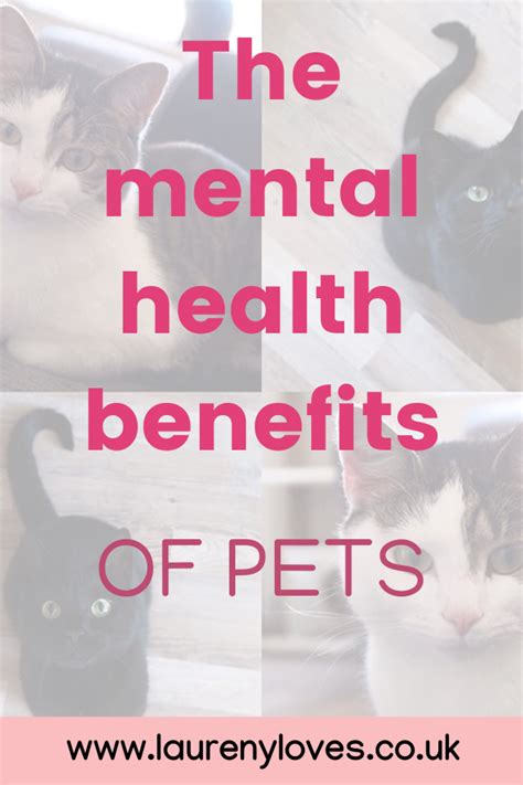 5 Amazing Ways Pets Can Improve Your Mental Health Artofit