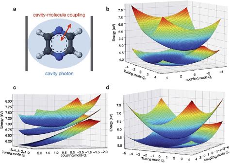 Born Oppenheimer Adiabatic And Polaritonic Potential Energy Surfaces