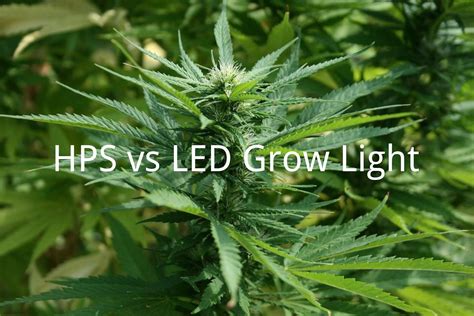 Tips For You How To Choose Led Grow Light