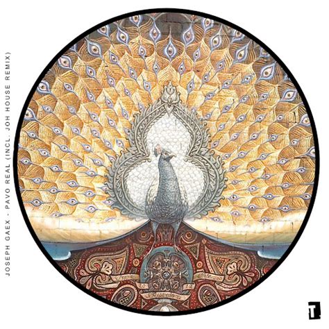 Pavo Real Original Mix Youtube Music