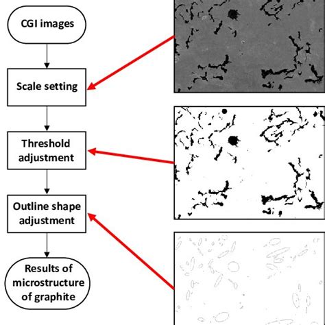 Procedure Of Statistical Analysis Download Scientific Diagram