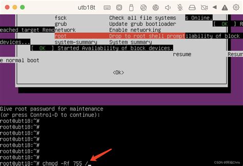 linux 权限变更操作失误，执行了 chmod rf 777 如何急救 csdn博客