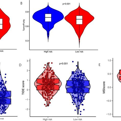 Tumor Immune Microenvironment Between High And Low Risk Groups With Download Scientific Diagram