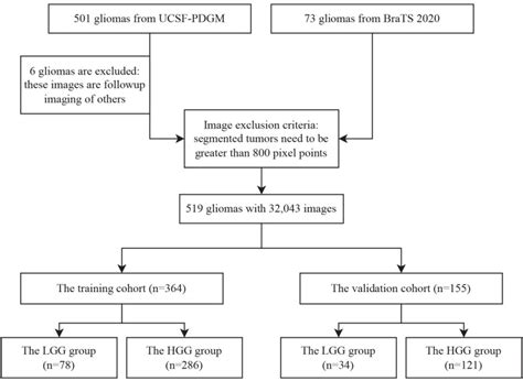 Enhanced Multimodal Brain Tumor Classification In Mr Images Using 2d Resnet As Backbone With