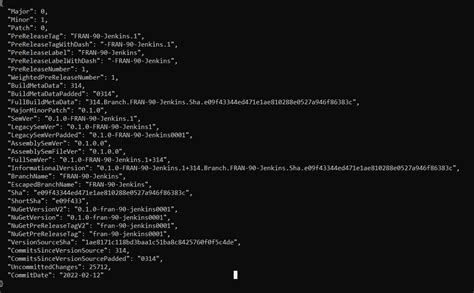 Bug Output File Outputfile Gitversionjson Exited With Code 1