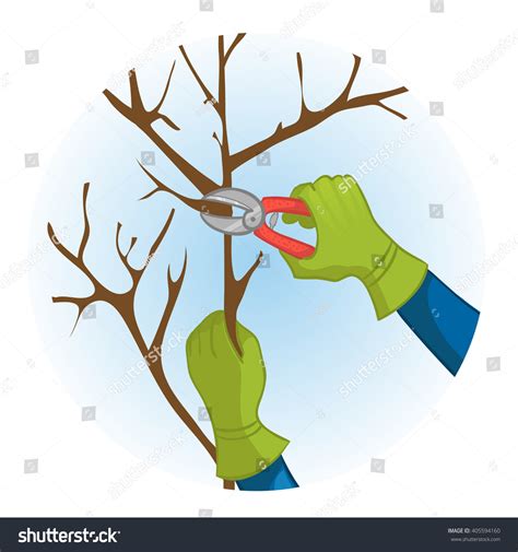 Hands Trimming Tree Garden Clippers Vector Stock Vector Royalty Free Shutterstock